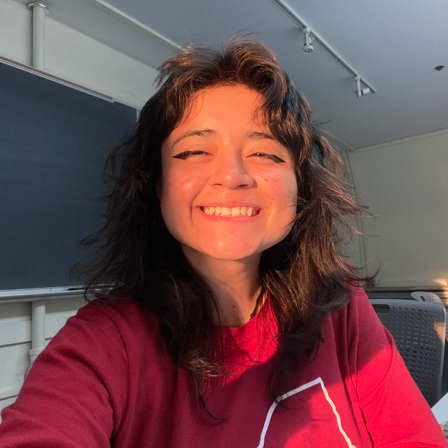 Underrepresented Minorities in Computing